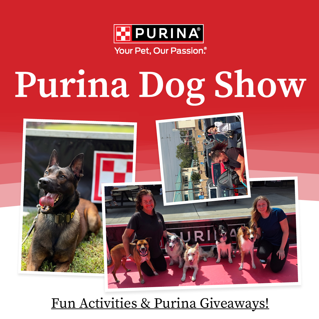April News from the Purina Pro Plan Military Pet Club